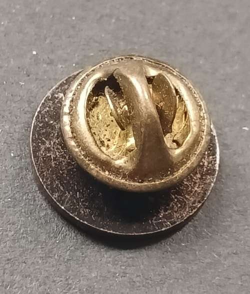 South African Airforce - South African Air Force 75 Years Lapel Pin M28 ...