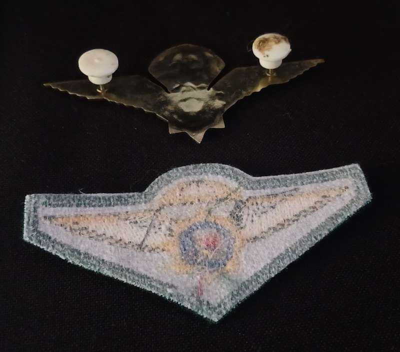 Emergency Services - SAP Special Task Force Cloth Para Wings ( Dark ...