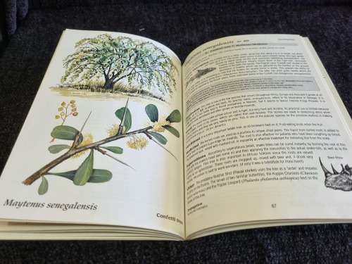 Natural Science - The Shell Field Guide to the Common Trees by Veronica Roodt for sale in Napier ...
