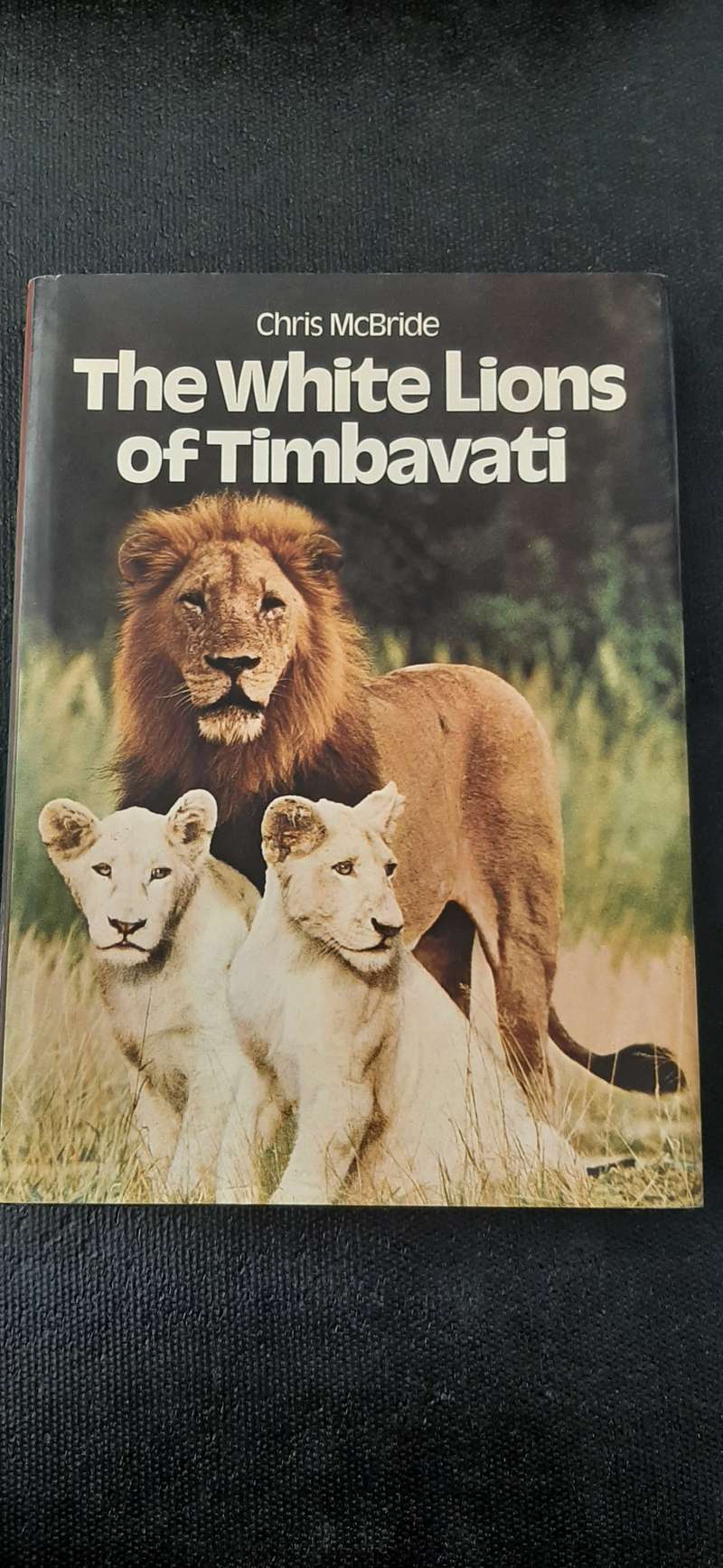Other Non-Fiction - The White Lions of Timbavati by Chris McBride for ...