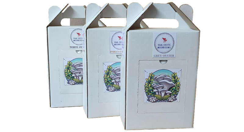 Home & Garden - Oyster Mushroom Box Grow Kits (3 varieties) for sale in ...