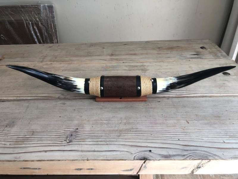 Decorative Art - Large 70cm Texas Long Horn Steer Bull Cow Horns - Wall ...