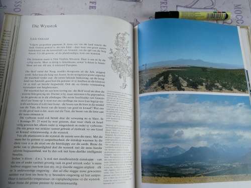 Afrikaans Non-Fiction - ROOIWYN IN SUID AFRIKA BARRIE BIERRMANN 1971 ...