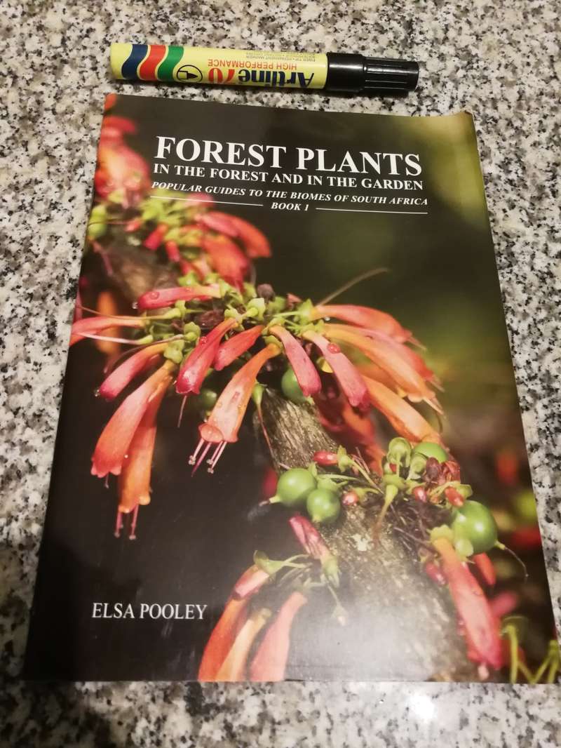 Natural Science - ELSA POOLEY FOREST PLANTS IN THE Forest & in the ...