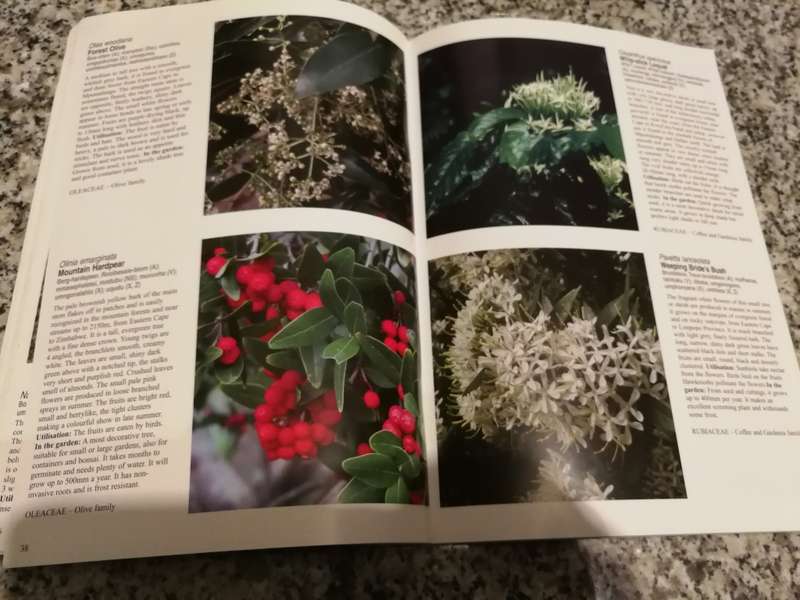 Natural Science - ELSA POOLEY FOREST PLANTS IN THE Forest & in the ...