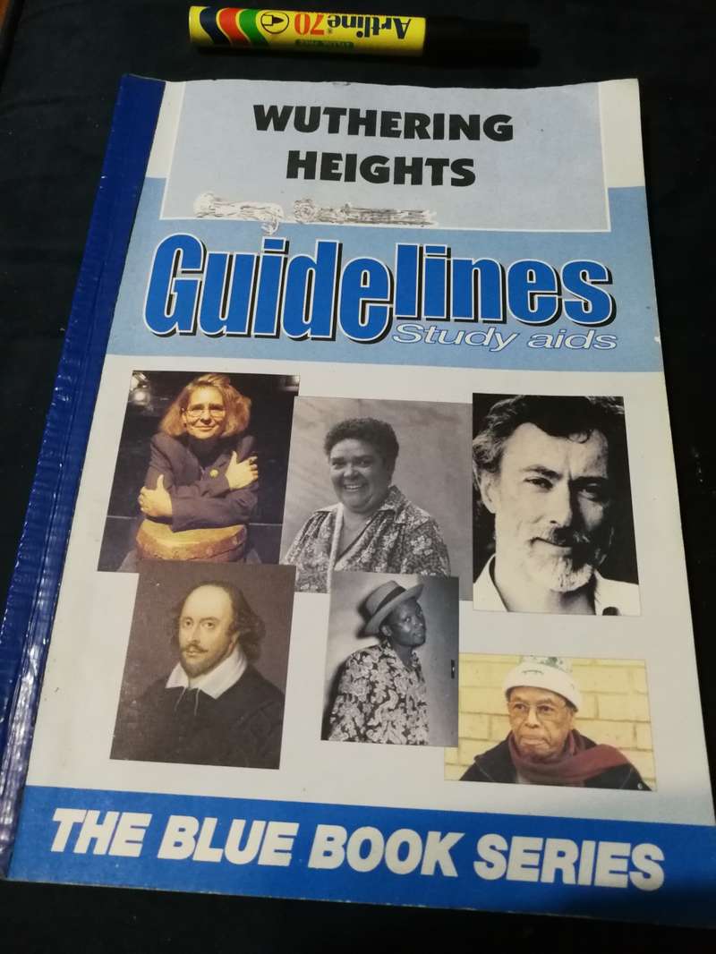 Courses & Study Guides - WUTHERING HEIGHTS EMILY BRONTE GUIDELINES ...