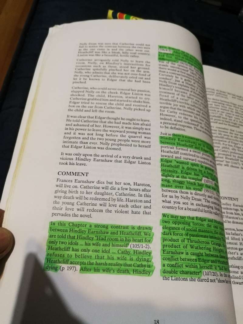 Courses & Study Guides - WUTHERING HEIGHTS EMILY BRONTE GUIDELINES ...