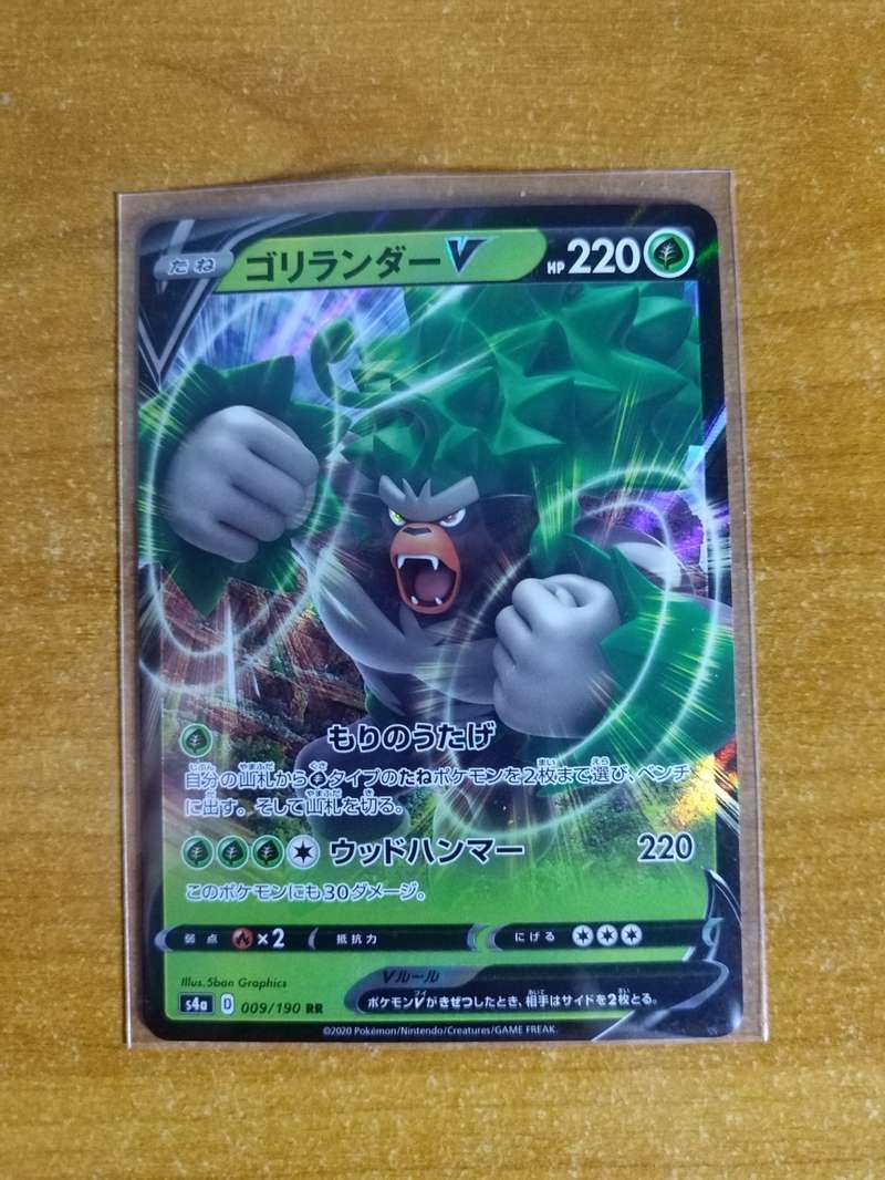 Trading Cards - Pokemon Trading Card Game - Rillaboom V #9 - Japanese ...