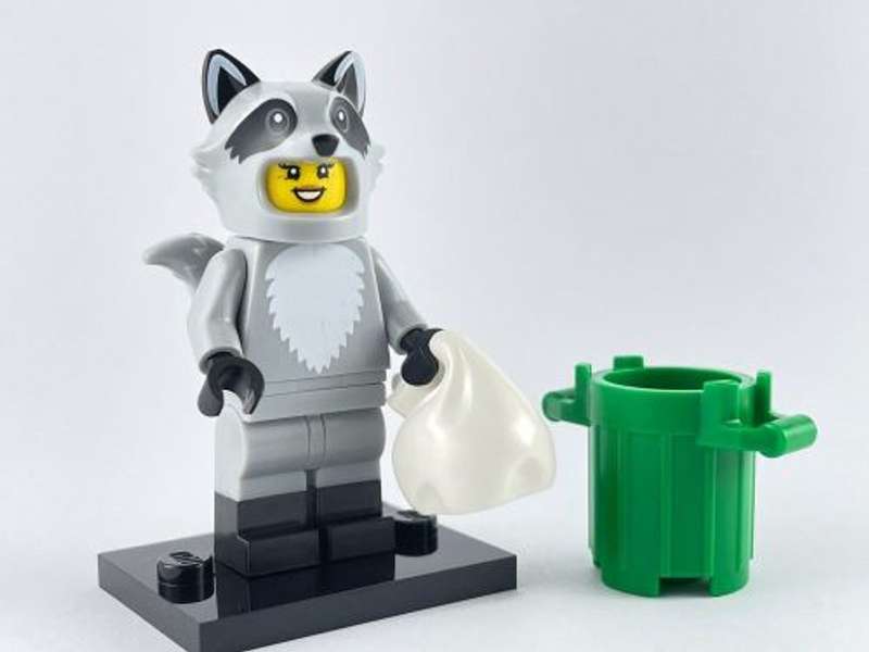 LEGO Minifigures - Raccoon Costume Fan (Series 22) Lego Minifigure for ...