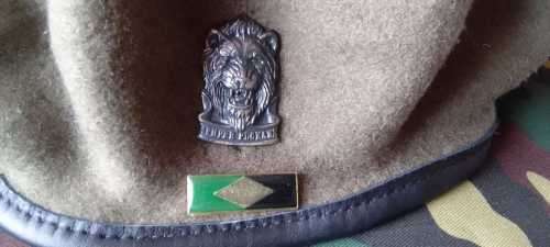 South African Army - SADF/ SA ARMY SWA TERRITORIAL FORCE REACTION BERET ...
