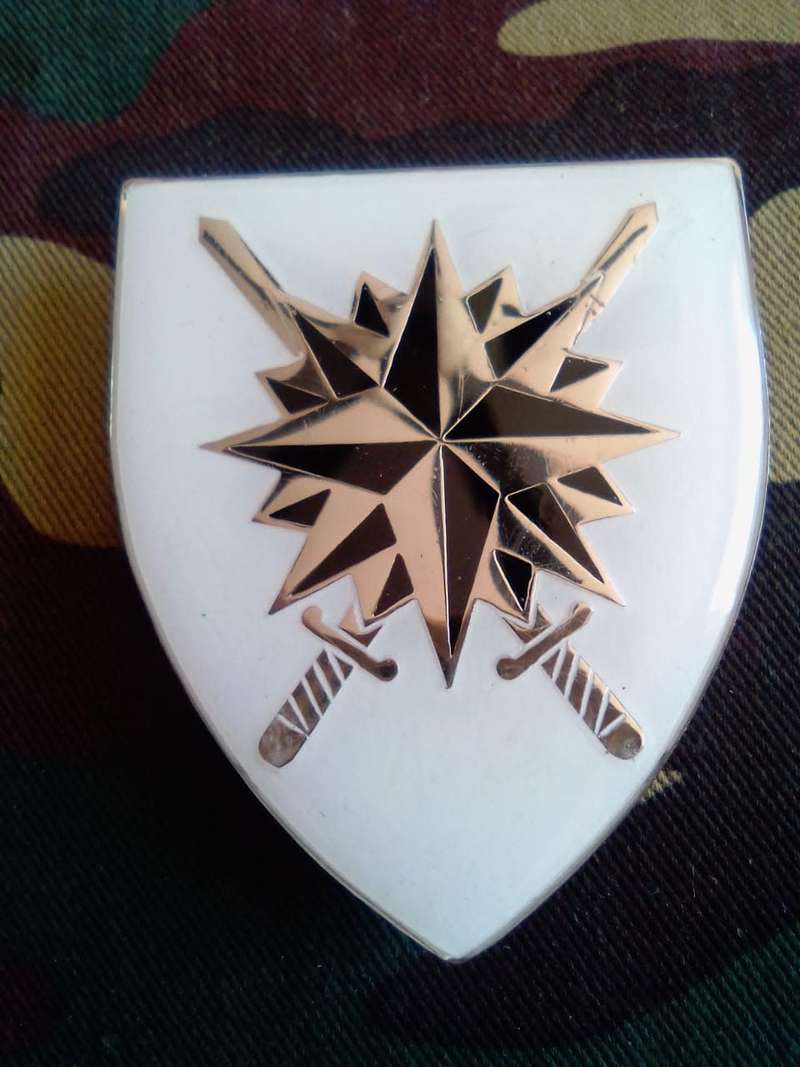 South African Army - SADF/ SA ARMY RECCE HQ SHOULDER FLASH - WITH PINS ...