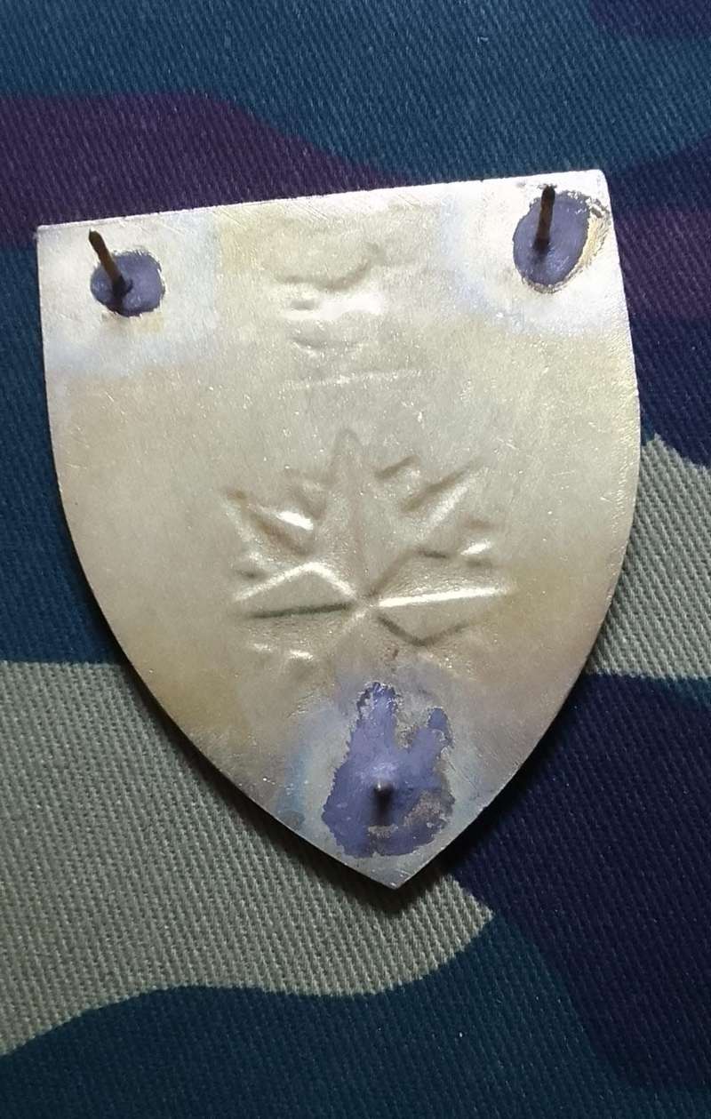 South African Army - SADF/SA ARMY 2 SPECIAL FORCES REGIMENT SHOULDER ...