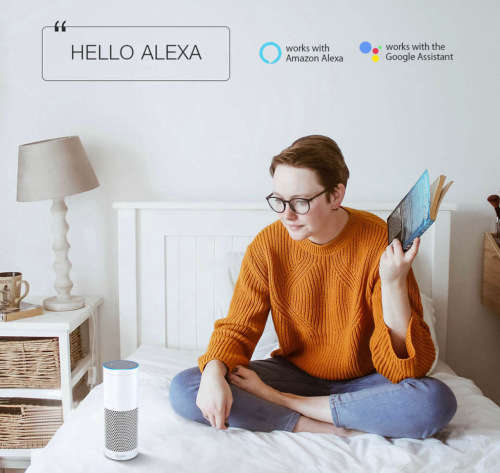 Smart Switches - Smart WiFi Geyser timer-with energy metering -Smart ...