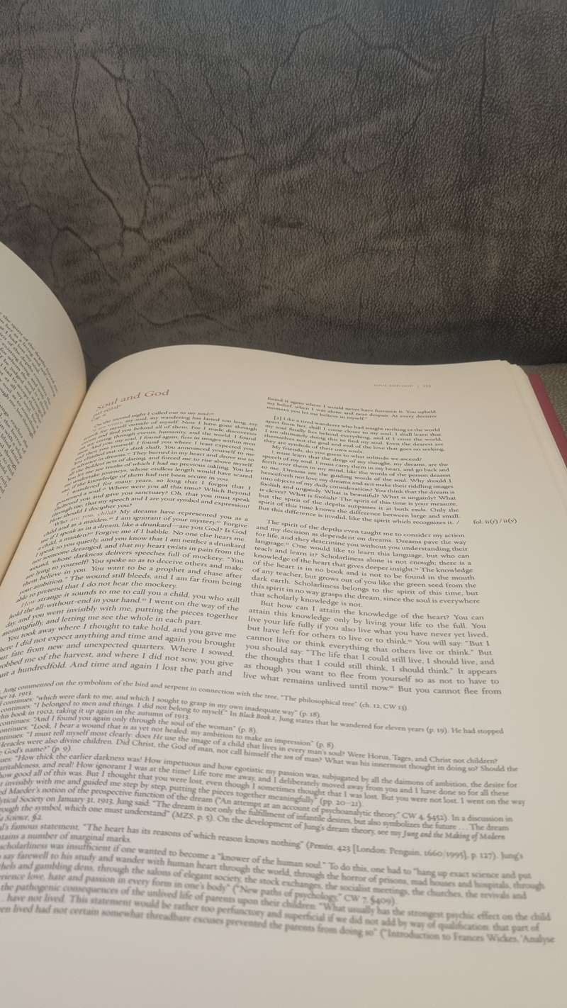 Philosophy, Religion & Spirituality - The Red Book. Liber Novus of C.G ...