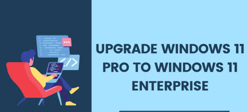 Operating Systems - Windows 11 Pro to 11 Enterprise Upgrade for sale in ...