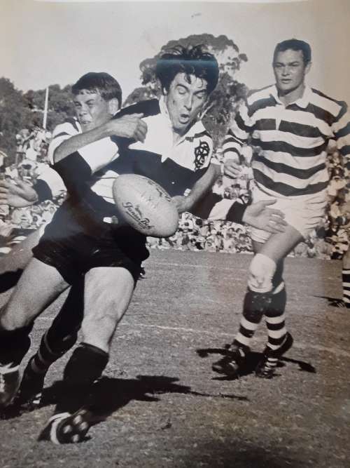 Sporting Memorabilia - Rhodesia Rugby 1970s - 6 Original Photos was ...