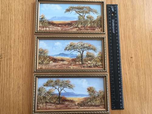 Paintings - JAC PIENAAR - OIL ON BOARD - BUSHVELD LANDSCAPES was listed ...