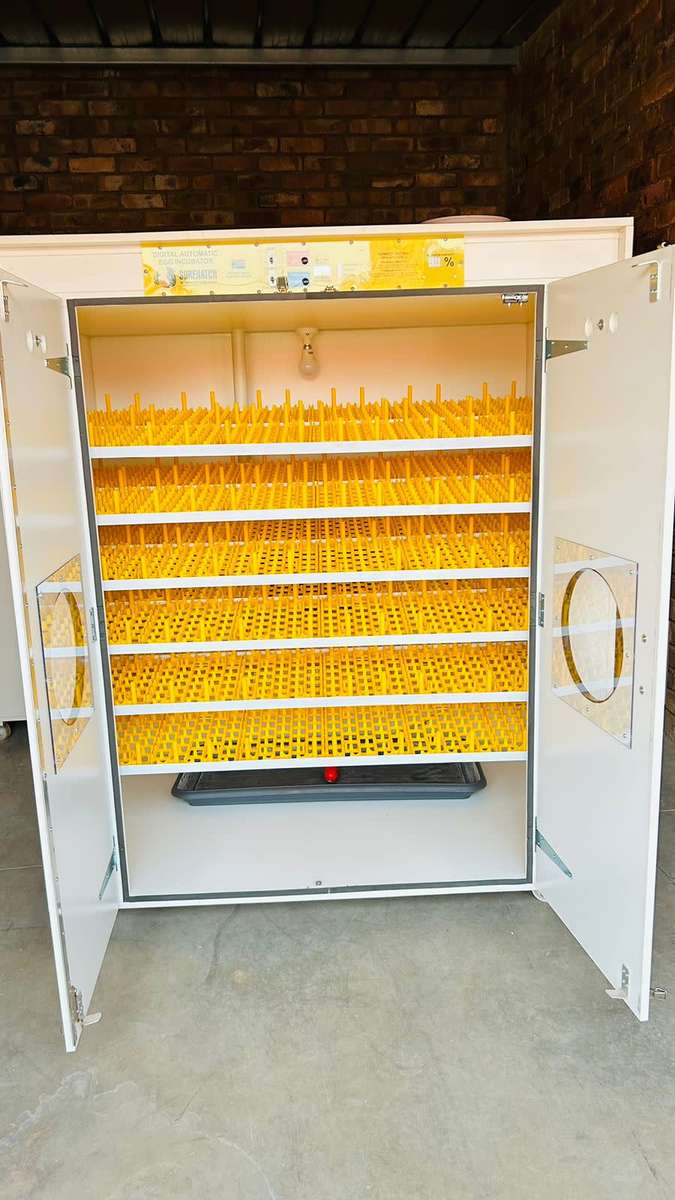 Poultry - Setter Incubator and hatcher for sale in South Africa (ID ...