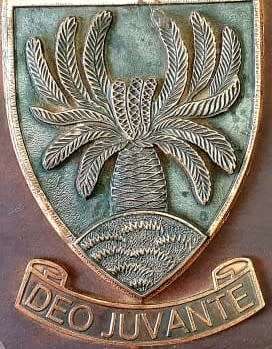 Other War Memorabilia - SADF . 4 SAI BATTALION . EMBLEM PLAQUE . COPPER ...