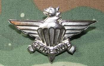 South African Army - SANDF - 3 Parachute Battalion Beret Badge was sold ...