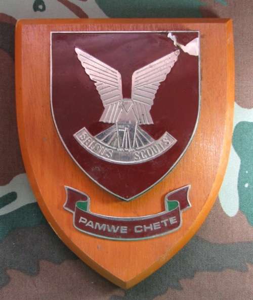 Other War Memorabilia - Rhodesian Selous Scouts " Pamwe Chete " Plaque ...