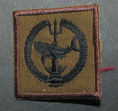 South African Army - SADF - Special Forces ( Recce ) Attack Diver Badge ...
