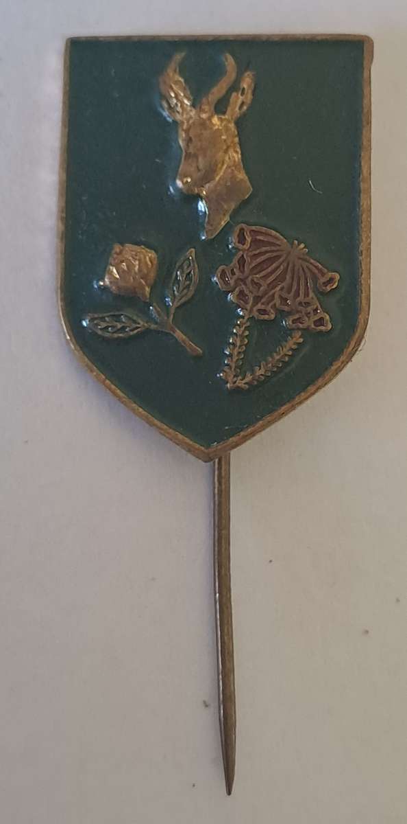 Sporting Memorabilia - Rugby pin badge. South African Rugby Board ...