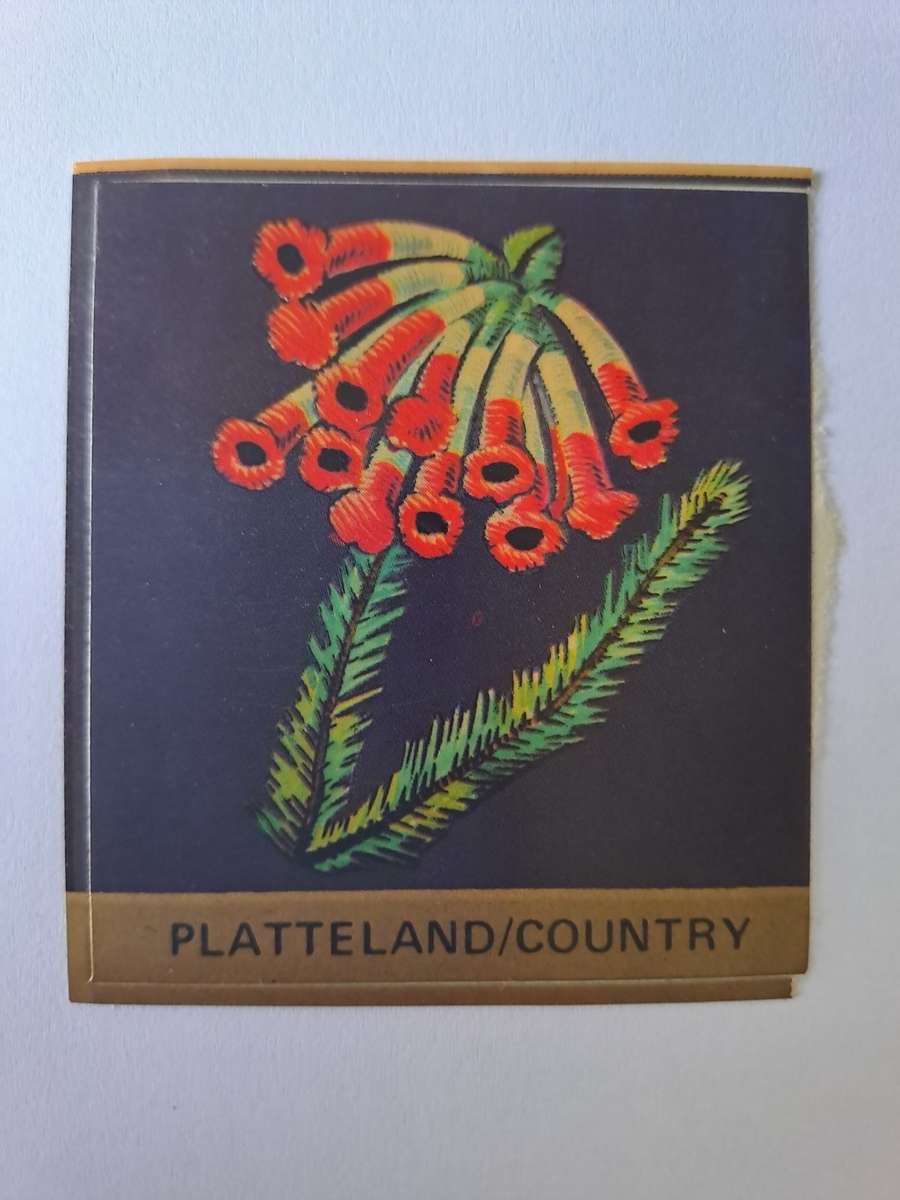 Sporting Memorabilia - SA Country Districts. Total Series 1975/1981 ...