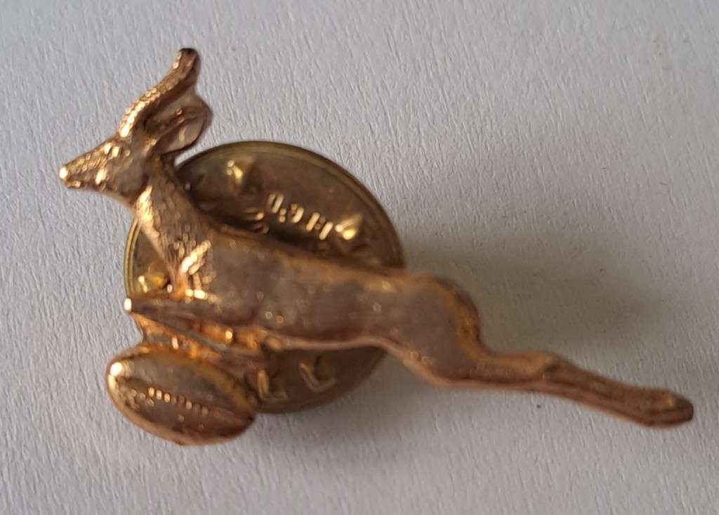 Sporting Memorabilia - Rugby pin badge with butterfly. Springbok ...
