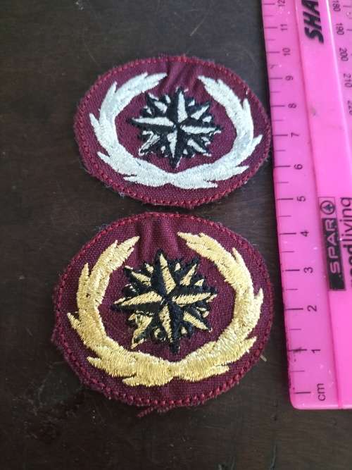 South African Army - SADF SF Recce Beret Badge Combo (Probably not ...