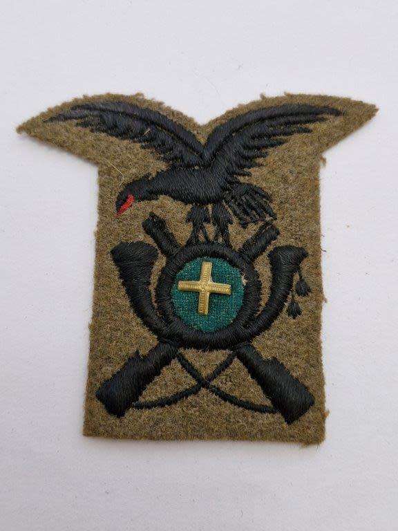 International Badges & Insignia - Italian WWII Officer`s Alpini cap ...