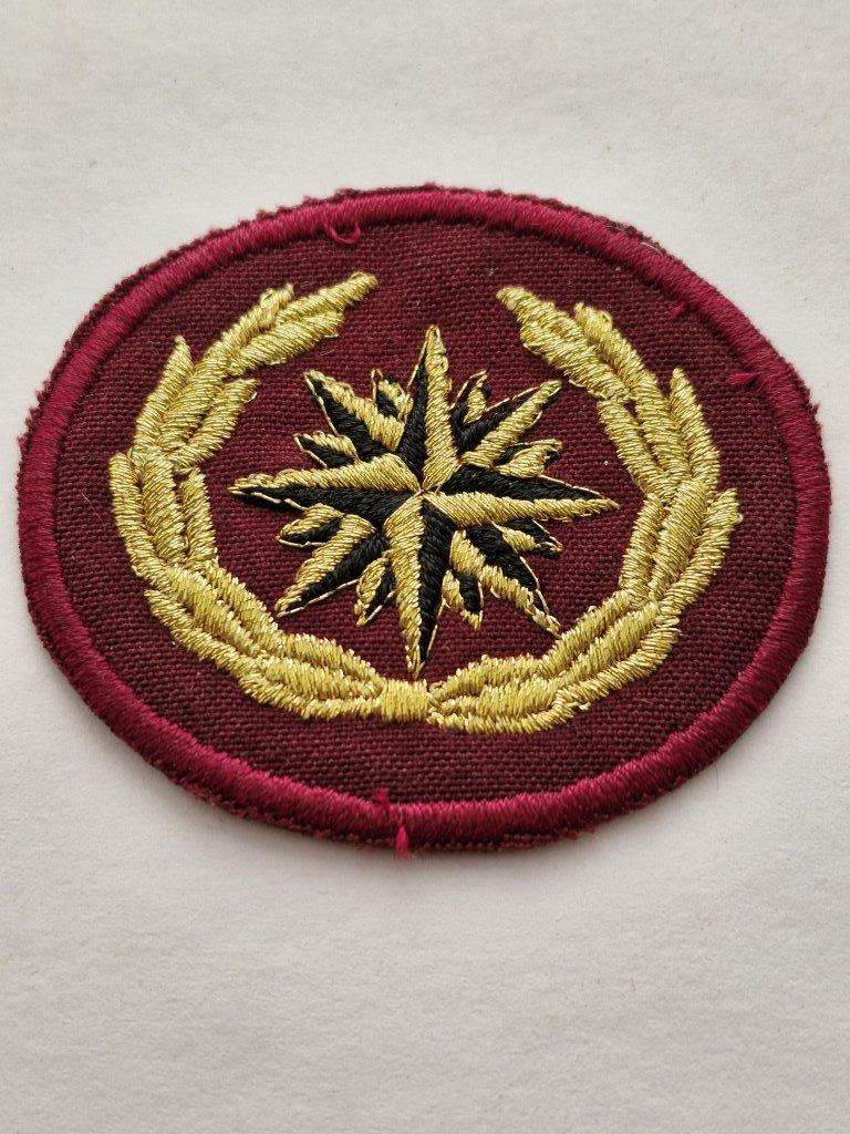 South African Army - Recce/Special Forces Compass Rose Beret badge ...