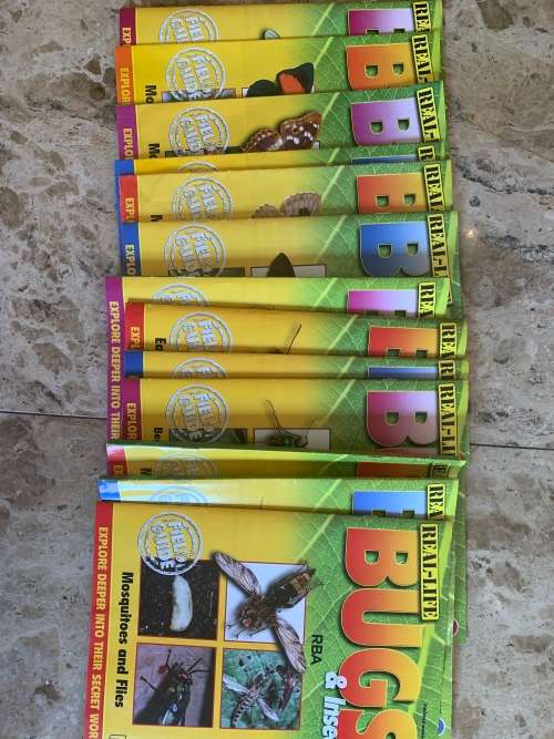 Other Antiques & Collectables - Real Life Bugs And Insects With ...