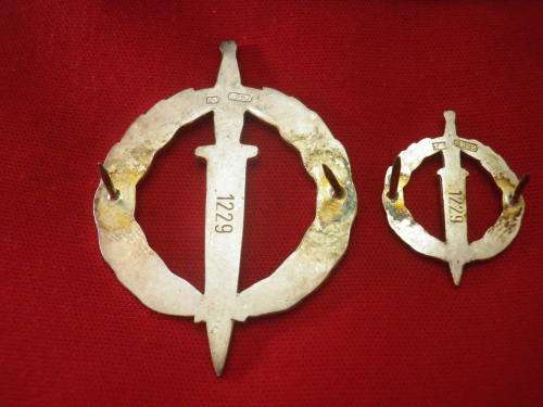 South African Army - SANDF - SPECIAL FORCES OPERATORS BADGE + MESS ...