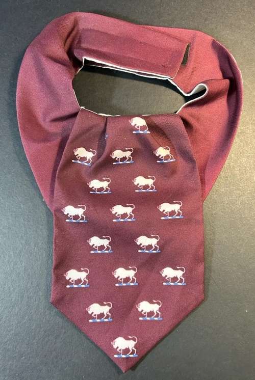 South African Army - SADF - Army College Cravat was sold for R180.00 on ...