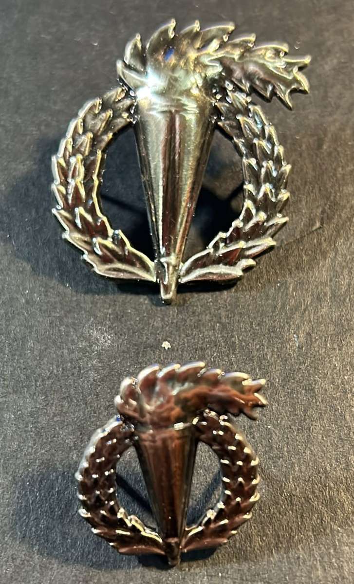 South African Army - SADF - Pathfinder Proficiency Badges ( Full Size ...