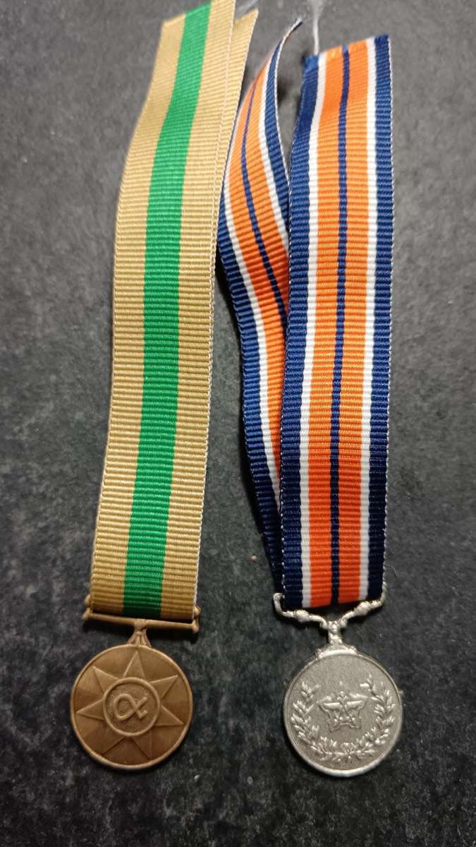 SADF & SANDF - SADF - Pair of Miniature Medals for sale in Heidelberg ...