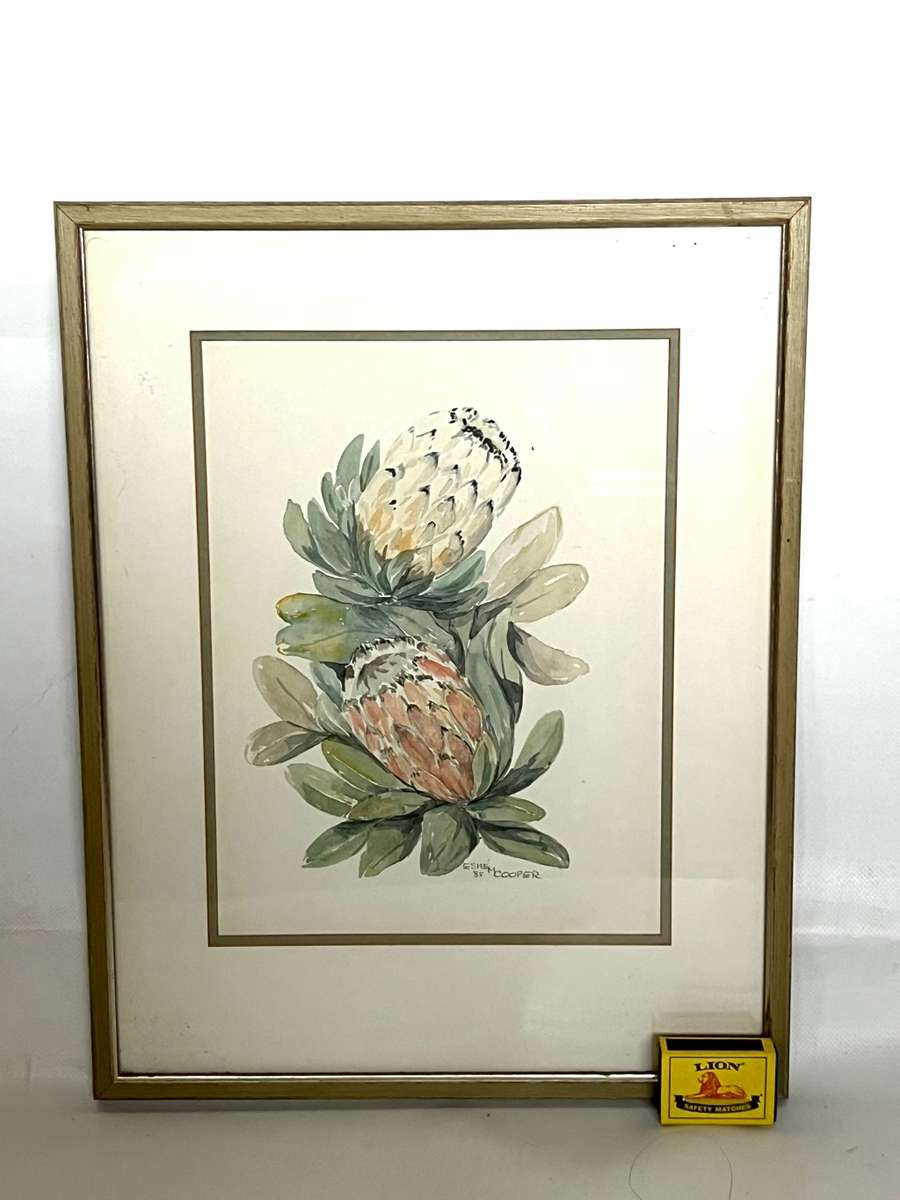 Paintings - South African Artist Watercolour of Proteas by Esme Cooper ...