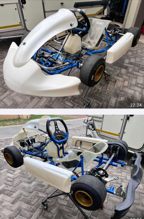 Other Individual Sports - S12 Mini Blue Daniel Ricciardo Kart - Go Kart ...