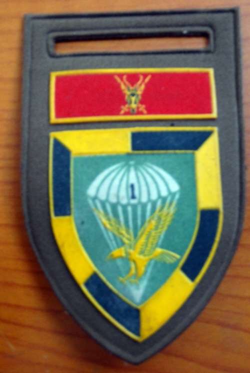 South African Army - SADF 1 Parabats Battalion Tupper Pin Intact was ...