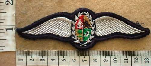 South African Airforce - South African Air Force Pilot wings, late ...