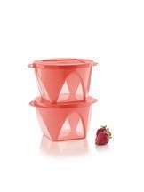 Bowls - Tupperware Outdoor Dining Bowls 1.5L x 2 was sold for R105.00 ...