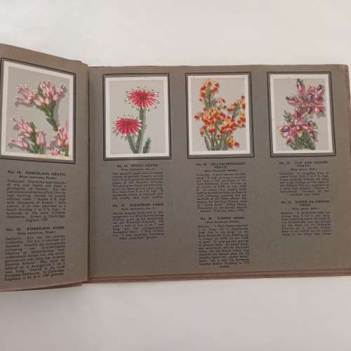 Africana - Springbok Cigarette Album for a series of 52 South African ...