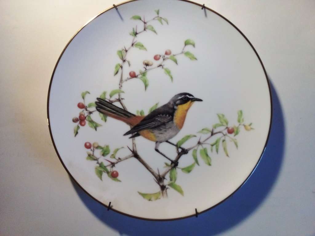South African Porcelain - Heritage Porcelain `Cape Robin` Plate (SP004 ...