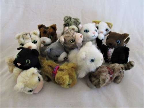 Other Collectable Toys - ACCEPT NO COPYCATS! - 14 `THE ORIGINAL CAT ...