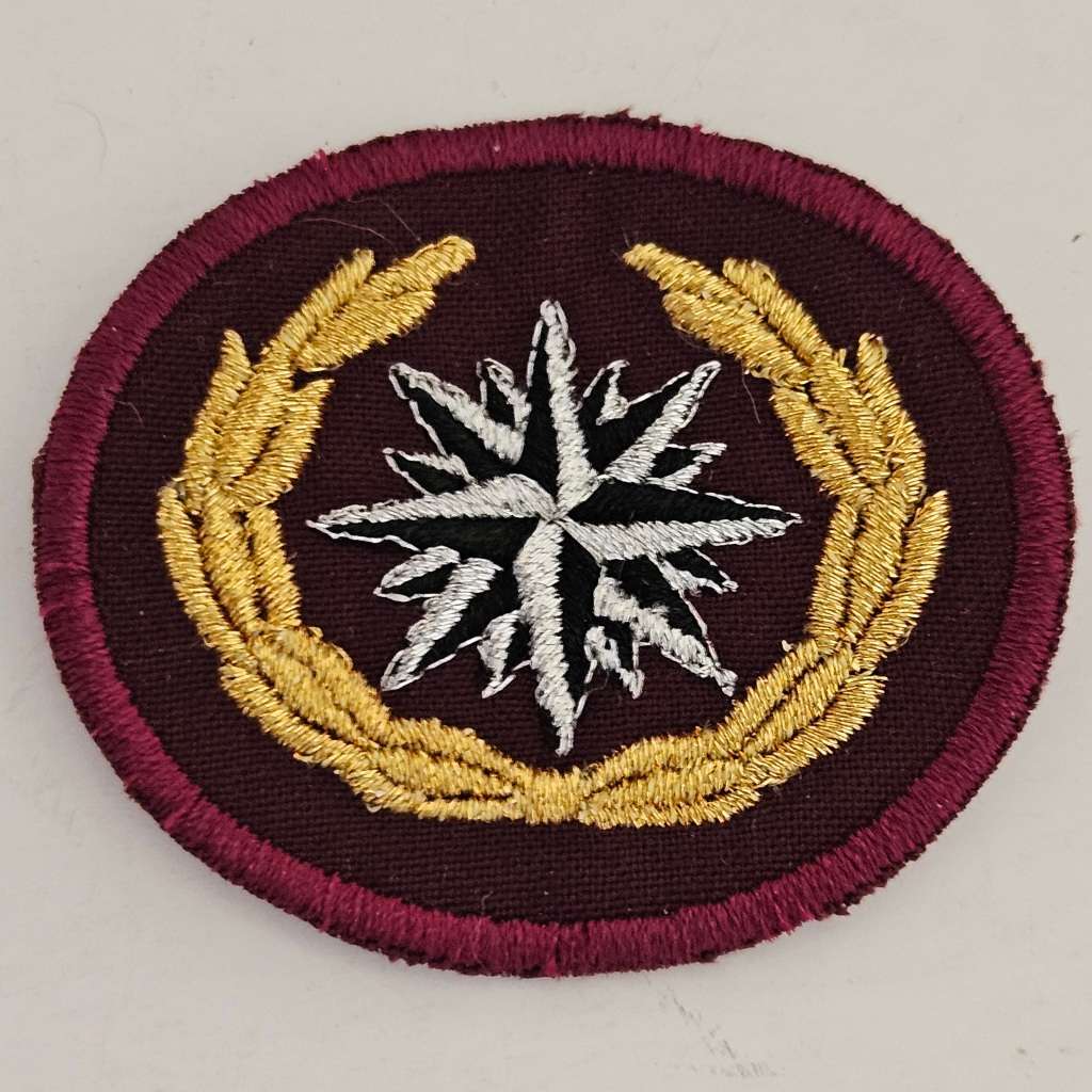 South African Army - Recce / Special Forces Beret Badge (Gold Wreath ...