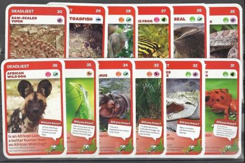 Other Antiques & Collectables - PICKnPAY SUPER ANIMAL CARDS - COMPLETE ...