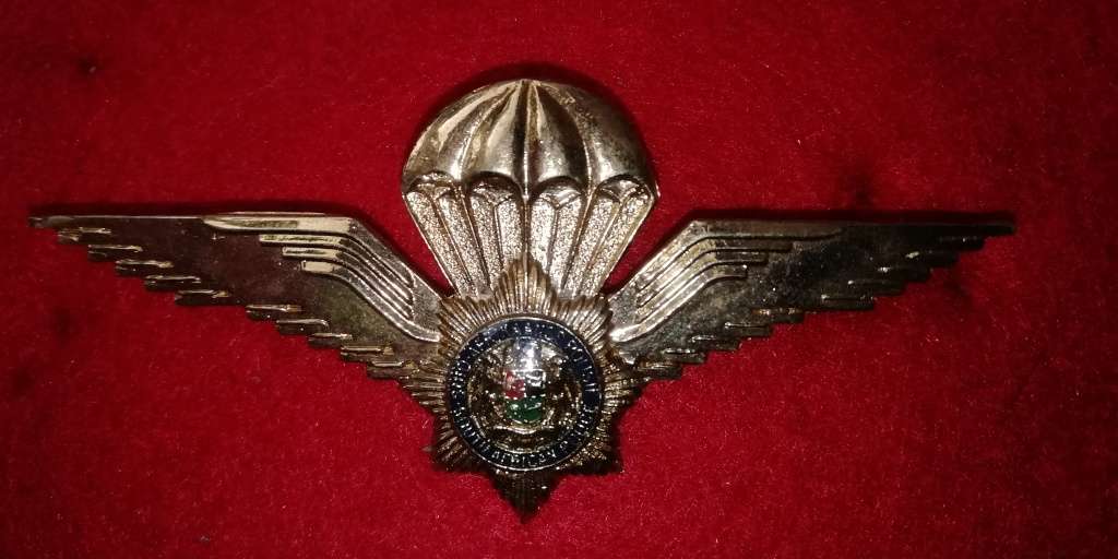 Other Militaria - SAP STF WINGS FULL SIZE for sale in Pretoria ...