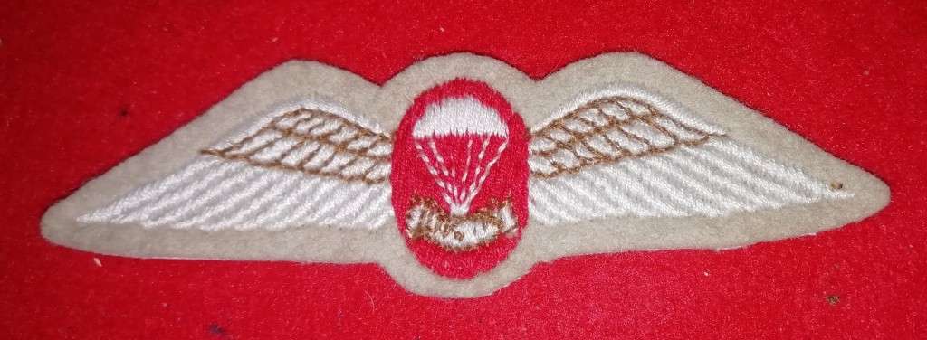 South African Army - SADF PARACHUTE FREEFALL WING - 1ST VARIANT ...