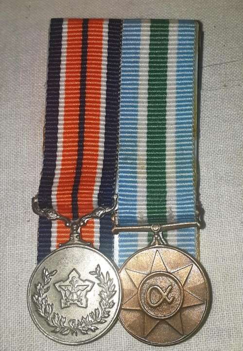 SADF & SANDF - SADF Court Mounted Bronze Unitas (1994) and Silver ...